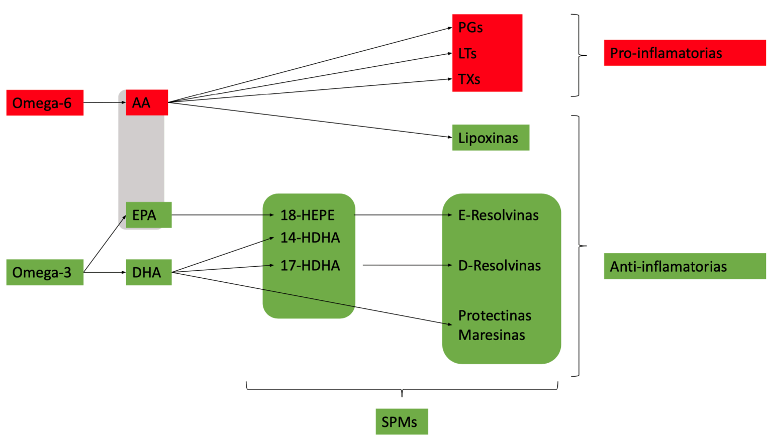 Omega 3 + SPMs: Solución Natural a la Inflamación Crónica
